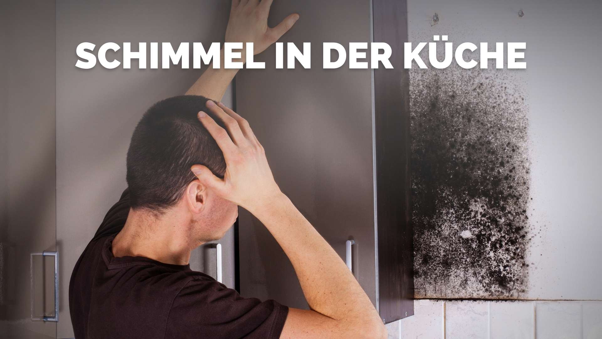 Schwarzer Schimmel In Der Küche Ich Weiß Keinen Rat Mehr Kann Mir Jemand Helfen Sporen